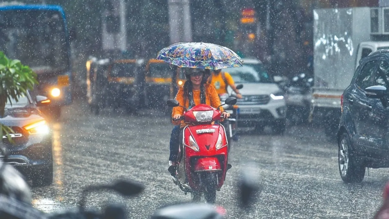 Weather Update | राज्यात आजही पाऊस हजेरी लावणार, 'या' जिल्ह्यांना यलो ...