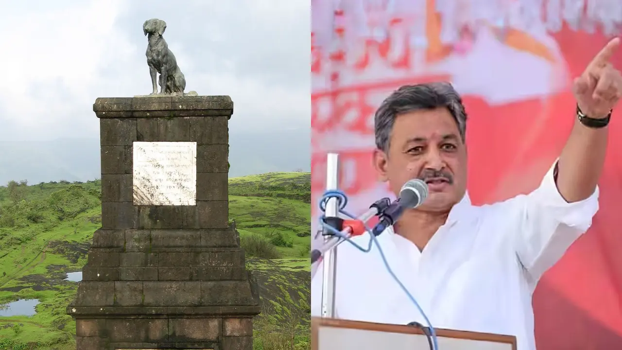 Waghya Dog Controversy l औरंगजेबापाठोपाठ आता वाघ्याची समाधी वादाच्या ...